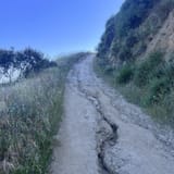 Beaudry Loop, California - 5,312 Reviews, Map | AllTrails