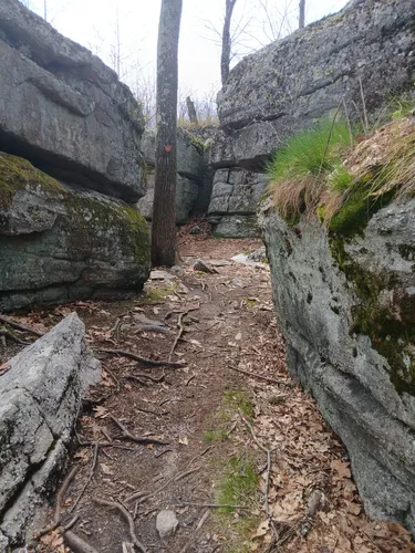 Best Hikes and Trails in Shawangunk Ridge State Forest | AllTrails