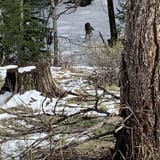 Elk Meadow, Colorado - 1,403 Reviews, Map | AllTrails