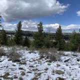 Elk Meadow, Colorado - 1,403 Reviews, Map | AllTrails