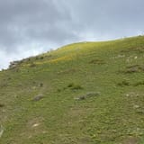 Spring Canyon Trail, Utah - 401 Reviews, Map | AllTrails