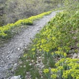 Spring Canyon Trail, Utah - 401 Reviews, Map | AllTrails