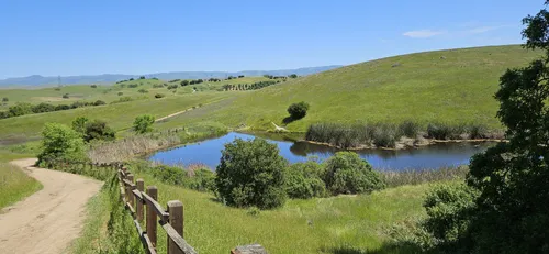 Best Mountain Biking Trails in Calero County Park | AllTrails
