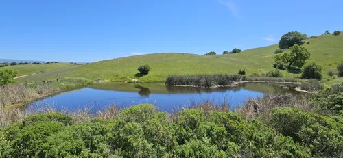 Best Mountain Biking Trails in Calero County Park | AllTrails