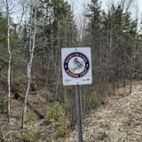Whiteshell River Bridge Trail, Manitoba, Canada - 378 Reviews, Map ...