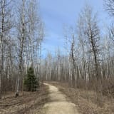 Whiteshell River Bridge Trail, Manitoba, Canada - 378 Reviews, Map ...