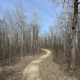 Whiteshell River Bridge Trail, Manitoba, Canada - 378 Reviews, Map ...
