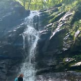 Jones Run Falls Trail, Virginia - 850 Reviews, Map | AllTrails