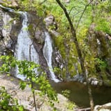 Jones Run Falls Trail, Virginia - 850 Reviews, Map | AllTrails