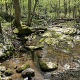 Jones Run Falls Trail, Virginia - 850 Reviews, Map | AllTrails