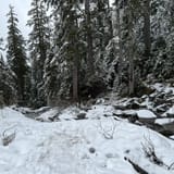 Ira Spring Memorial Trail, Washington - 2,053 Reviews, Map | AllTrails