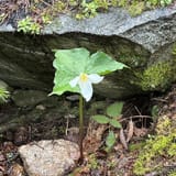 Ira Spring Memorial Trail, Washington - 2,053 Reviews, Map | AllTrails