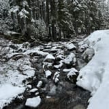 Ira Spring Memorial Trail, Washington - 2,053 Reviews, Map | AllTrails