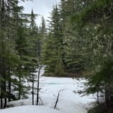 Rampart Ridge Loop, Washington - 2,180 Reviews, Map | AllTrails