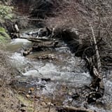 Hunter Creek Trail, Nevada - 4,440 Reviews, Map | AllTrails