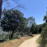 Beaudry Loop, California - 5,303 Reviews, Map | AllTrails