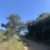 Beaudry Loop, California - 4,972 Reviews, Map | AllTrails