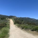 Beaudry Loop, California - 4,972 Reviews, Map | AllTrails