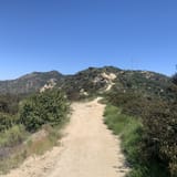 Beaudry Loop, California - 5,075 Reviews, Map | AllTrails