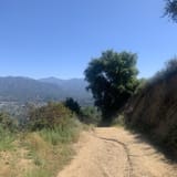Beaudry Loop, California - 5,075 Reviews, Map | AllTrails