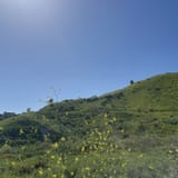 Corral Canyon Loop, California - 1,821 Reviews, Map | AllTrails
