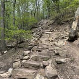 Thousand Steps, Pennsylvania - 1,286 Reviews, Map | AllTrails