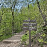 Thousand Steps, Pennsylvania - 1,286 Reviews, Map | AllTrails