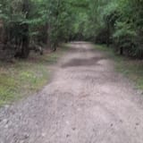 Burroughs Park Eastern Trail Loop, Texas - 799 Reviews, Map | AllTrails