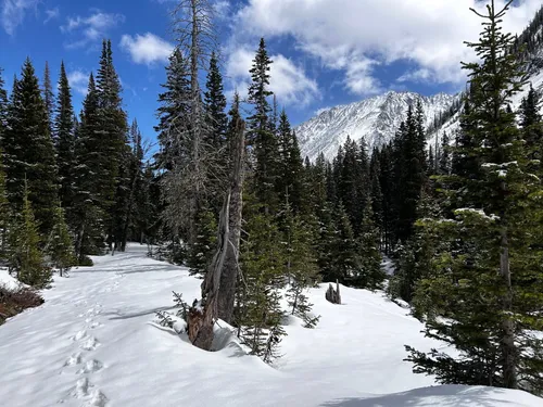 Best Backpacking Trails in Big Timber | AllTrails