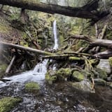 Cora Lake Trail, Washington - 281 Reviews, Map | AllTrails