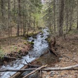 Mount Emily Recreation Area Loop, Oregon - 246 Reviews, Map | AllTrails