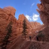 Navajo Loop Trail, Utah - 3,737 Reviews, Map | AllTrails