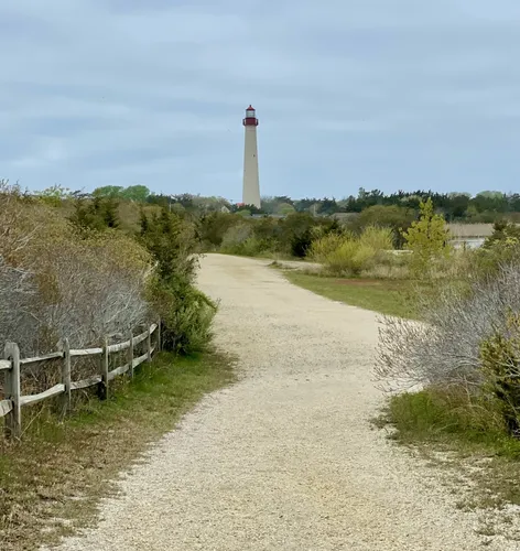 Best Lake Trails in Cape May | AllTrails