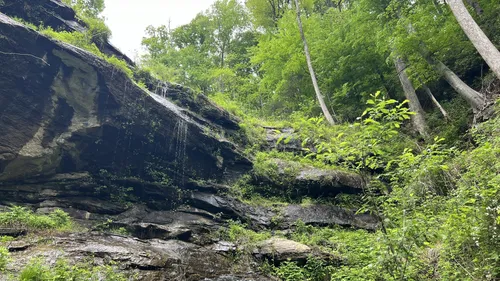 Best River Trails in Tryon | AllTrails