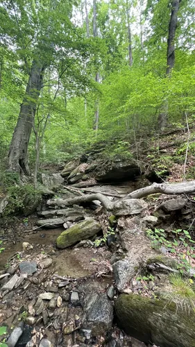 Best River Trails in Tryon | AllTrails