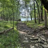 Day Loop Trail, Tennessee - 4,128 Reviews, Map | AllTrails