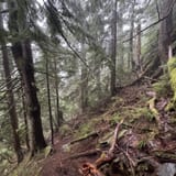Lake Isabel Trail #1080, Washington - 424 Reviews, Map | AllTrails
