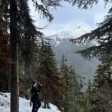 Maple Pass Trail, Washington - 7,642 Reviews, Map | AllTrails
