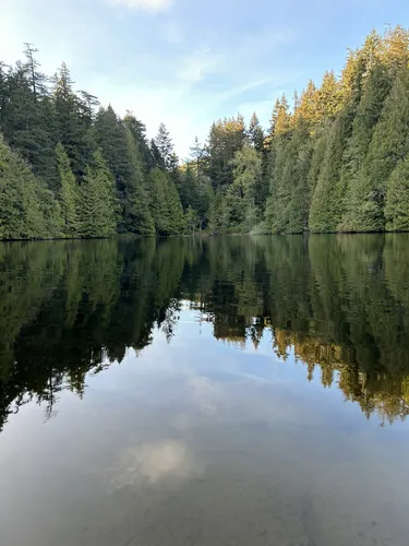 Best Walking Trails in Larrabee State Park | AllTrails