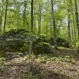 Red Cedar Trail, Illinois - 549 Reviews, Map | AllTrails