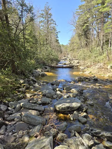 Best Wild Flowers Trails in Pine Bush | AllTrails