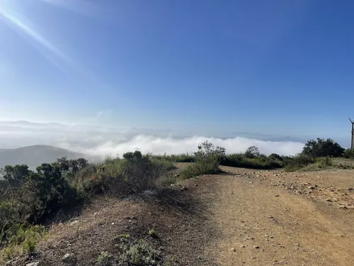 Best Forest Trails in Rancho Santa Fe | AllTrails