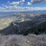 Park Point Overlook Trail, Colorado - 287 Reviews, Map | AllTrails