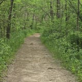 Cincinnati Nature Center Loop, Ohio - 1,403 Reviews, Map | AllTrails