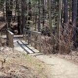 Dover Community Trail, New Hampshire - 437 Reviews, Map | AllTrails