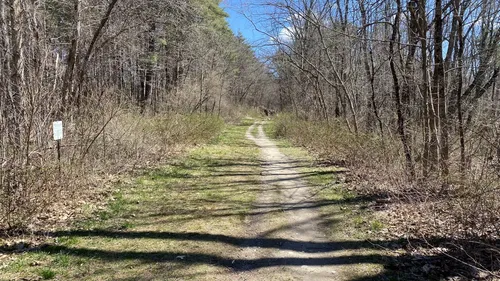 Best Forest Trails in Dover | AllTrails