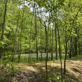 Indian Point Trail, Illinois - 1,575 Reviews, Map | AllTrails