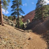 Red Mountain Trail, Arizona - 968 Reviews, Map | AllTrails