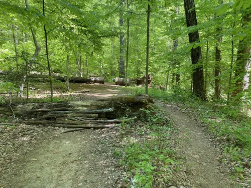 Best Mountain Biking Trails in Bacon Ridge Natural Area | AllTrails