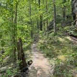 Indian Point Trail, Illinois - 1,680 Reviews, Map | AllTrails